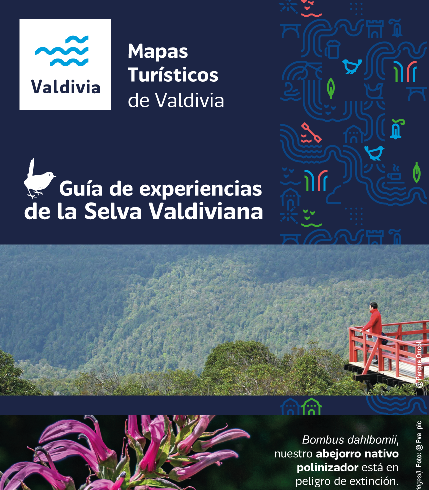 Mapas turísticos de Valdivia – . portafolio de diseño